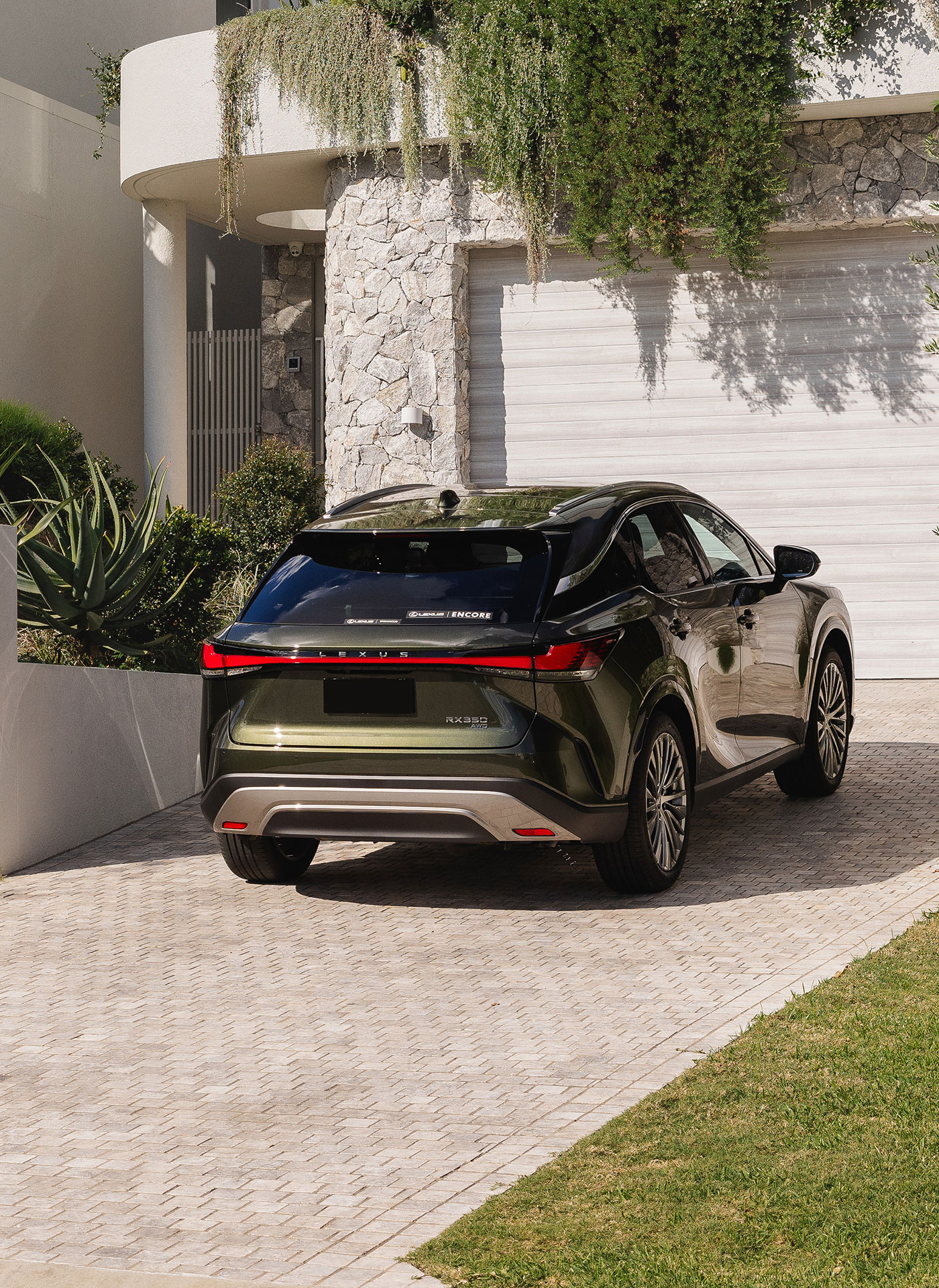 Springwood | New Cars | Service